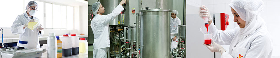 Michoc Michoc Values - Michoc